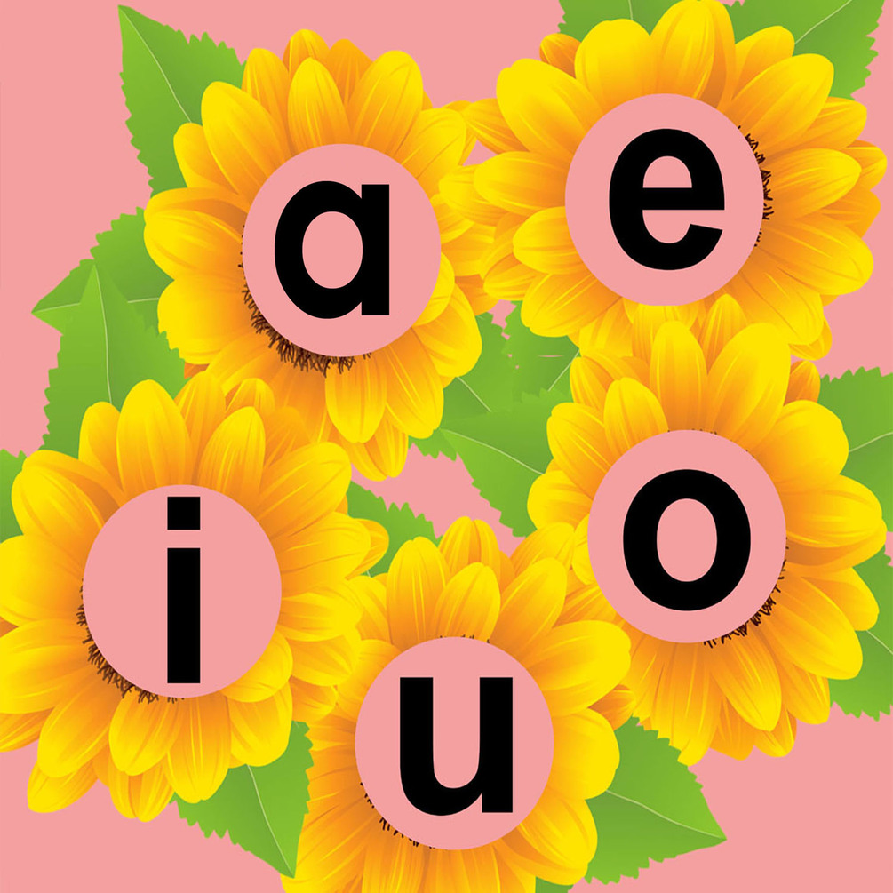 Montessori Pink Phonetic Language Series Bundle