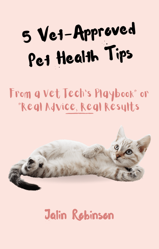 5 Vet-Approved Pet Health Tips