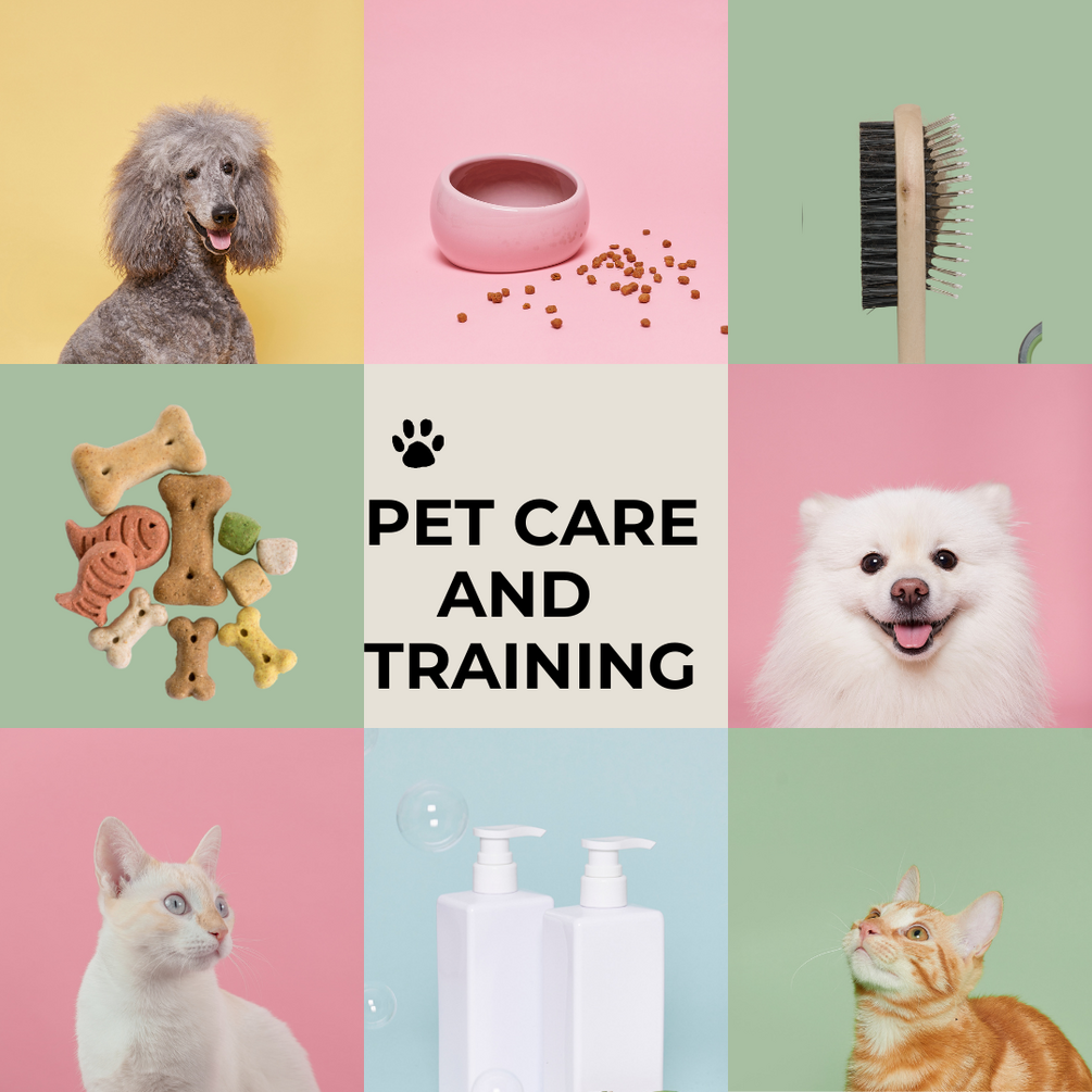 PET CARE AND TRAINING