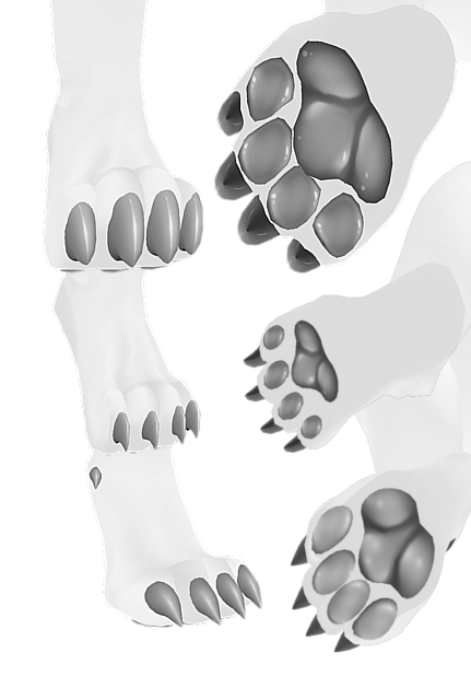 Paw Feet Textures