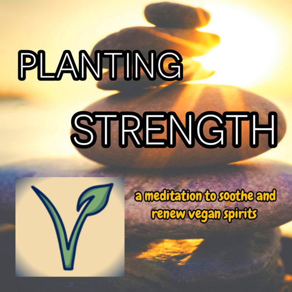 The Compassion Compass Toolkit: Mindful Vegan Self-Care Essentials