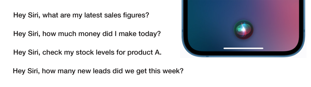 SmartSiri - your custom voice assistant for daily business tasks