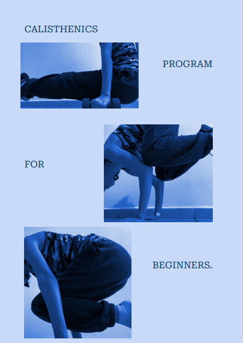 Calisthenics Workout Program For Beginners.