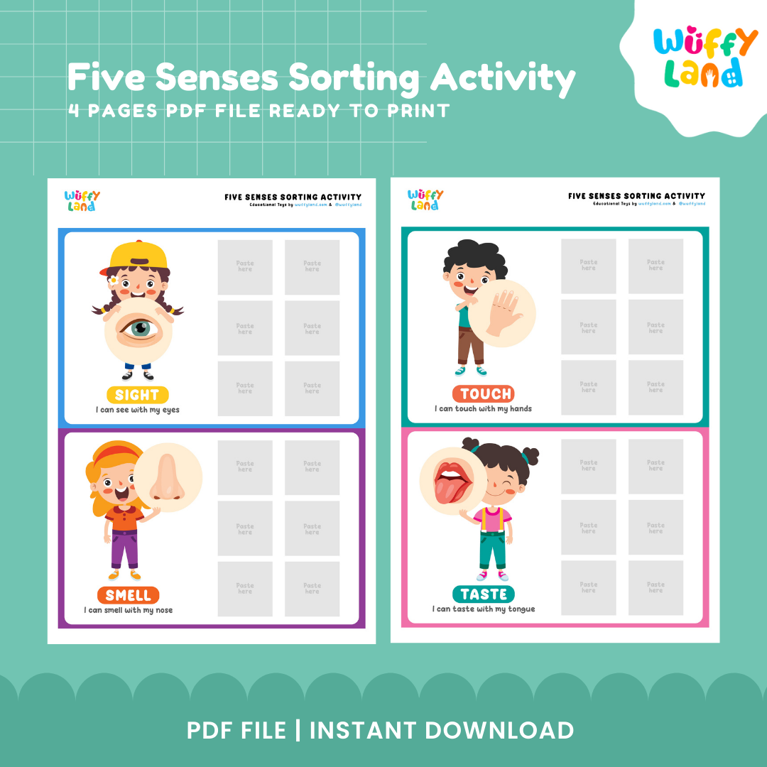 Five Sense Sorting Activity, 5 Sense Sorting, Toddler Preschool ...