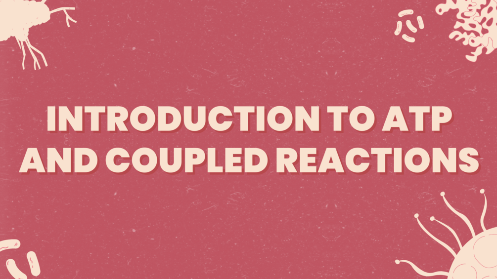 Biology: Introduction to ATP and Coupled Reactions