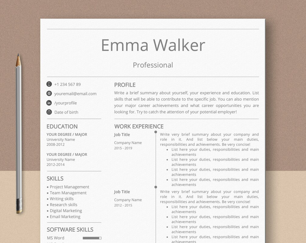 Modern Professional Resume Template Ms Word