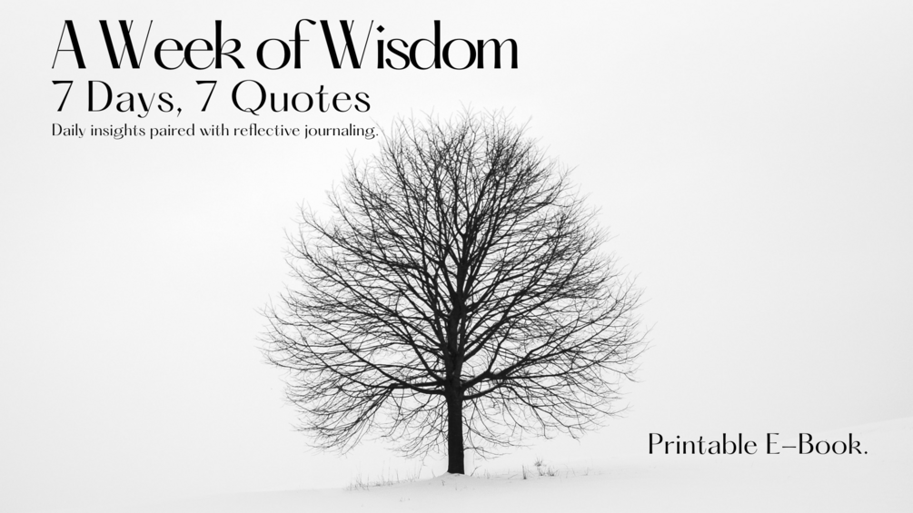 A Week of Wisdom: 7 Days, 7 Quotes