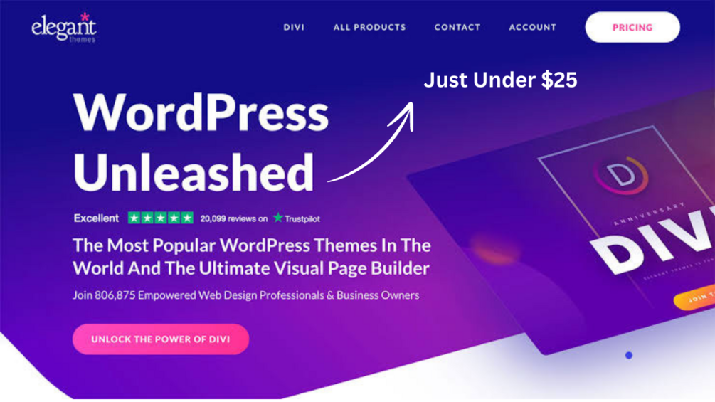 Divi Premium Theme for Wordpress