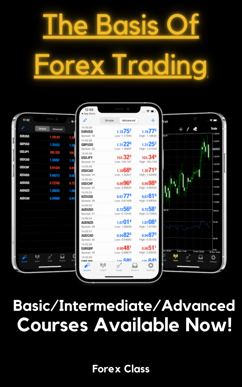 The Basis Of Forex Trading [Intermediate Level]