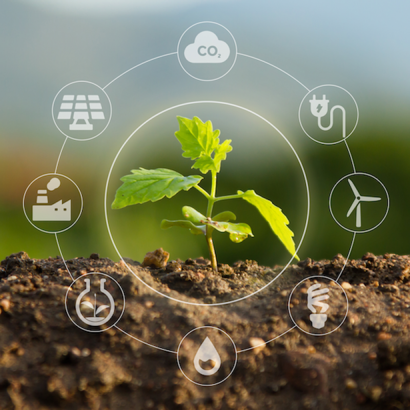 pdf on renewable feedstock