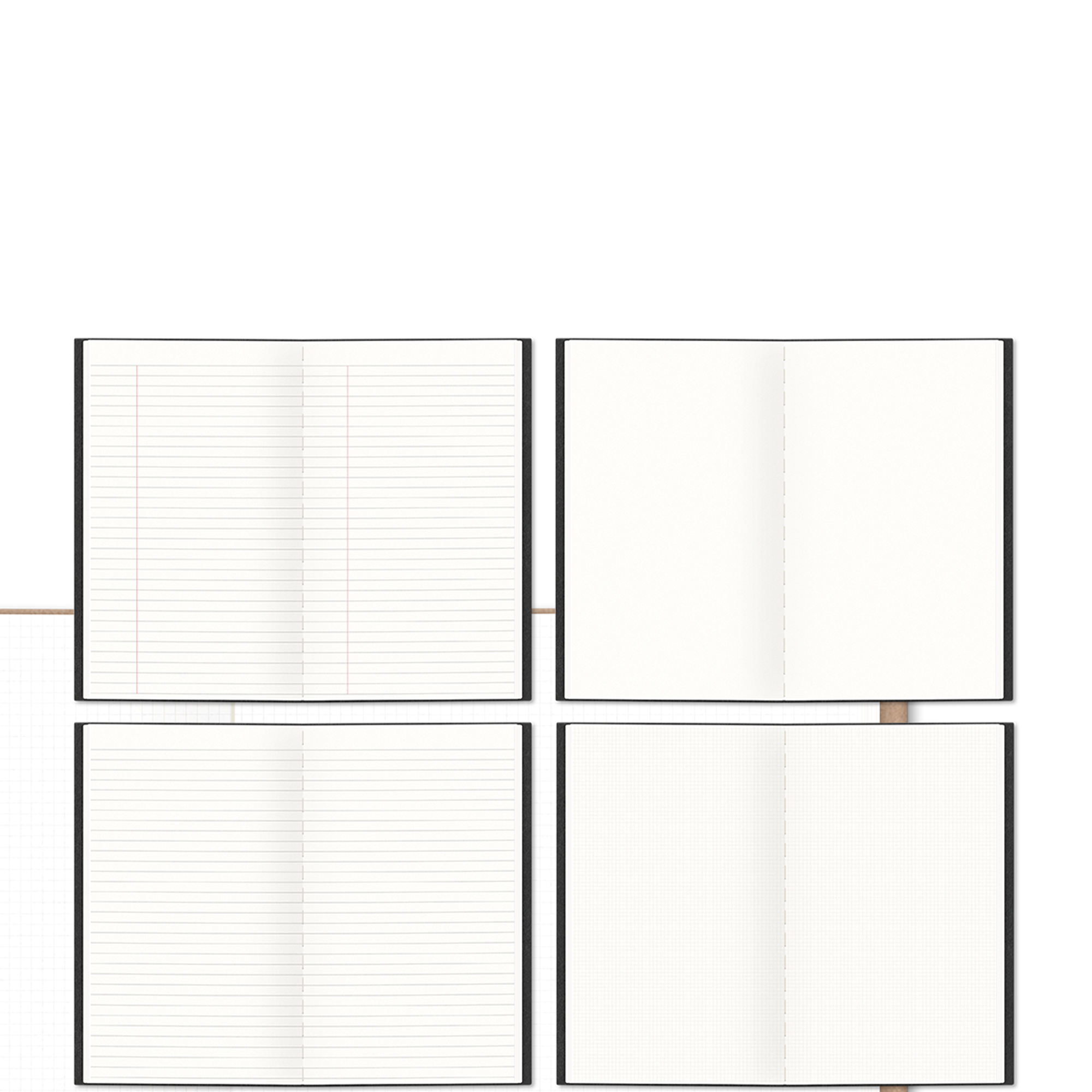 ANY DIARY (Digital file for i Pad)