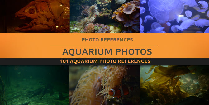 Aquarium Ref Images - 101 High Res Photo refs of Aquatic Life