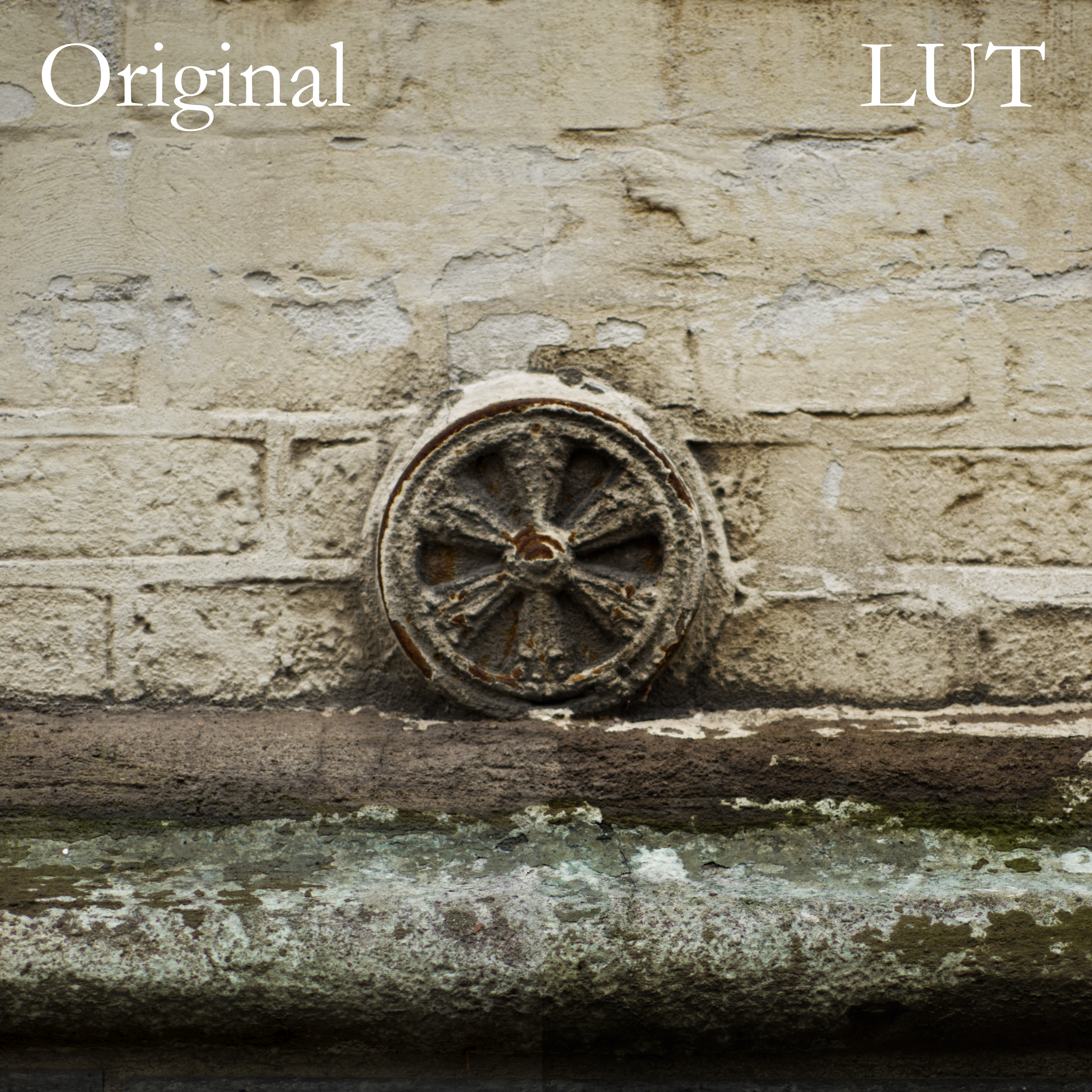 LUT Pack: Enhance Your Video Footage with These 7 Professional Color ...