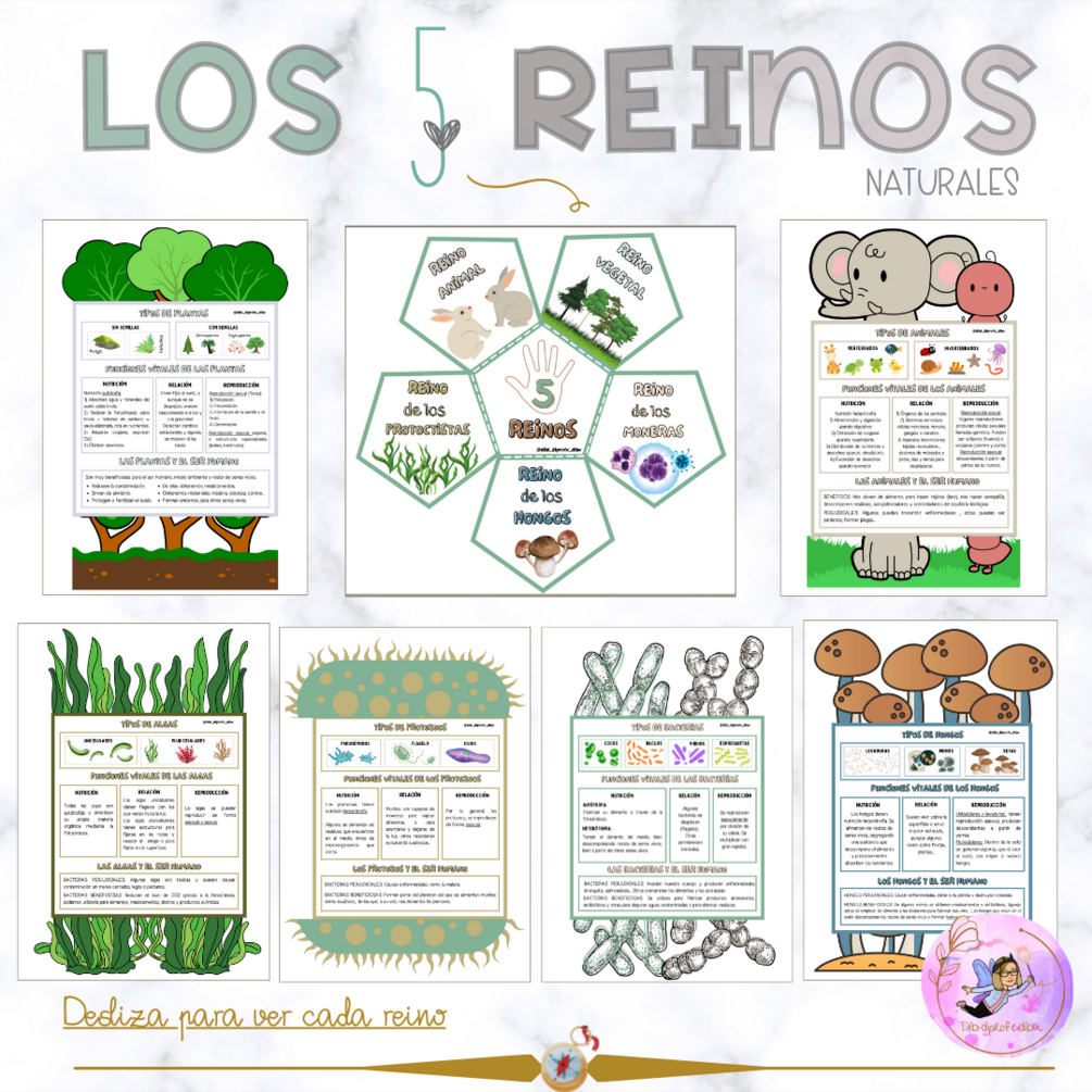 LOS CINCO REINOS