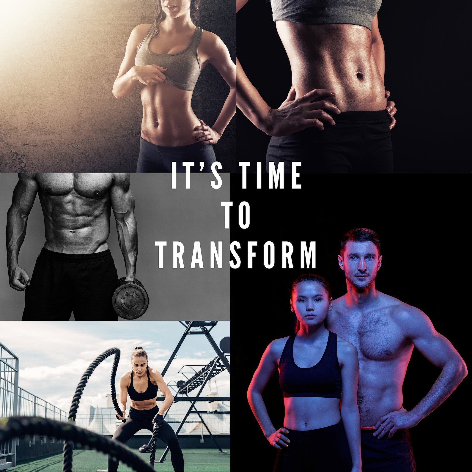 6 Month Training Plan TRANSFORM YOUR PHYSIQUE Fitness