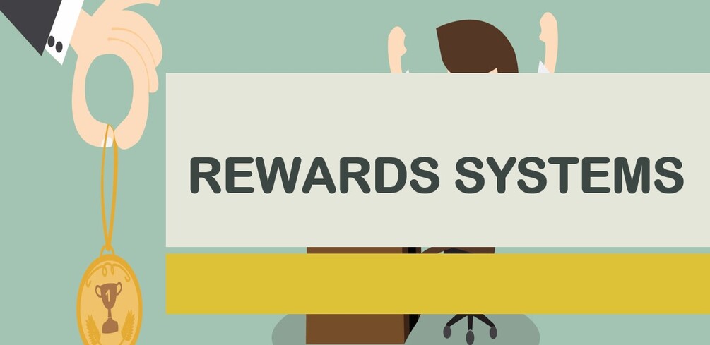 Organization and Management : Reward System