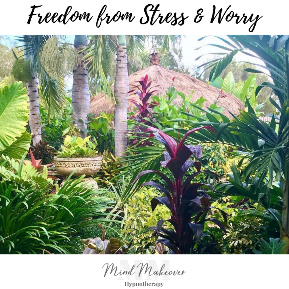Freedom from Stress & Worry