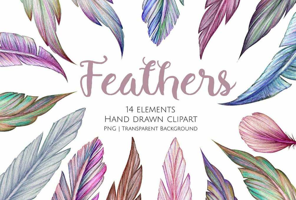 Feathers Clipart Collection