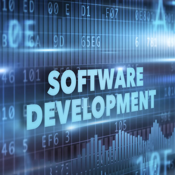 Robsky Software Development Services