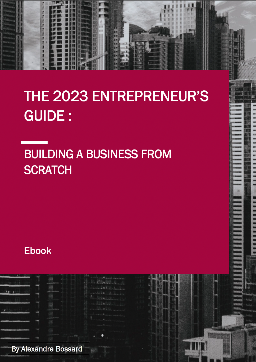 THE 2023 ENTREPRENEUR’S GUIDE : BUILDING A BUSINESS FROM SCRATCH