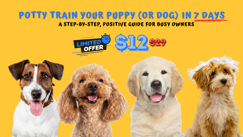 Potty Train Your Puppy (or Dog) in 7 Days