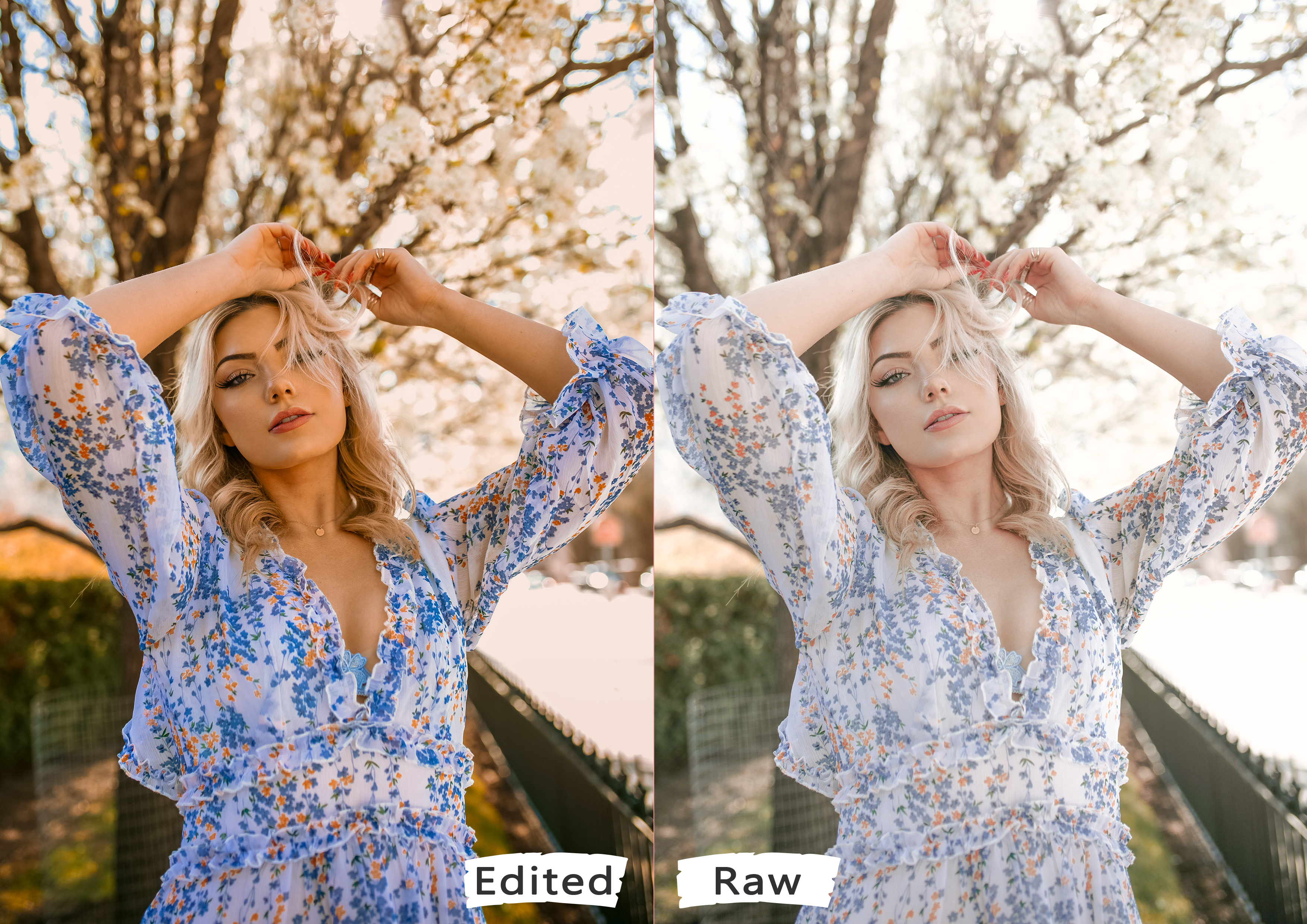 Spring Nature Premium Lightroom Presets & 2 Courses for Beginner to be ...