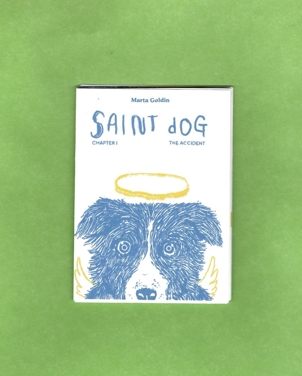 SAINT DOG - The Accident 2zine