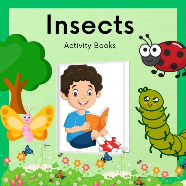 Insects Activity Book