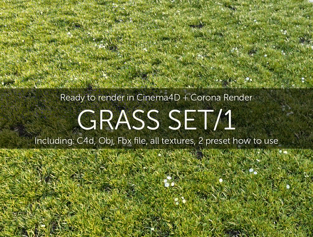 Grass/1 - Cinema4d + Corona Render