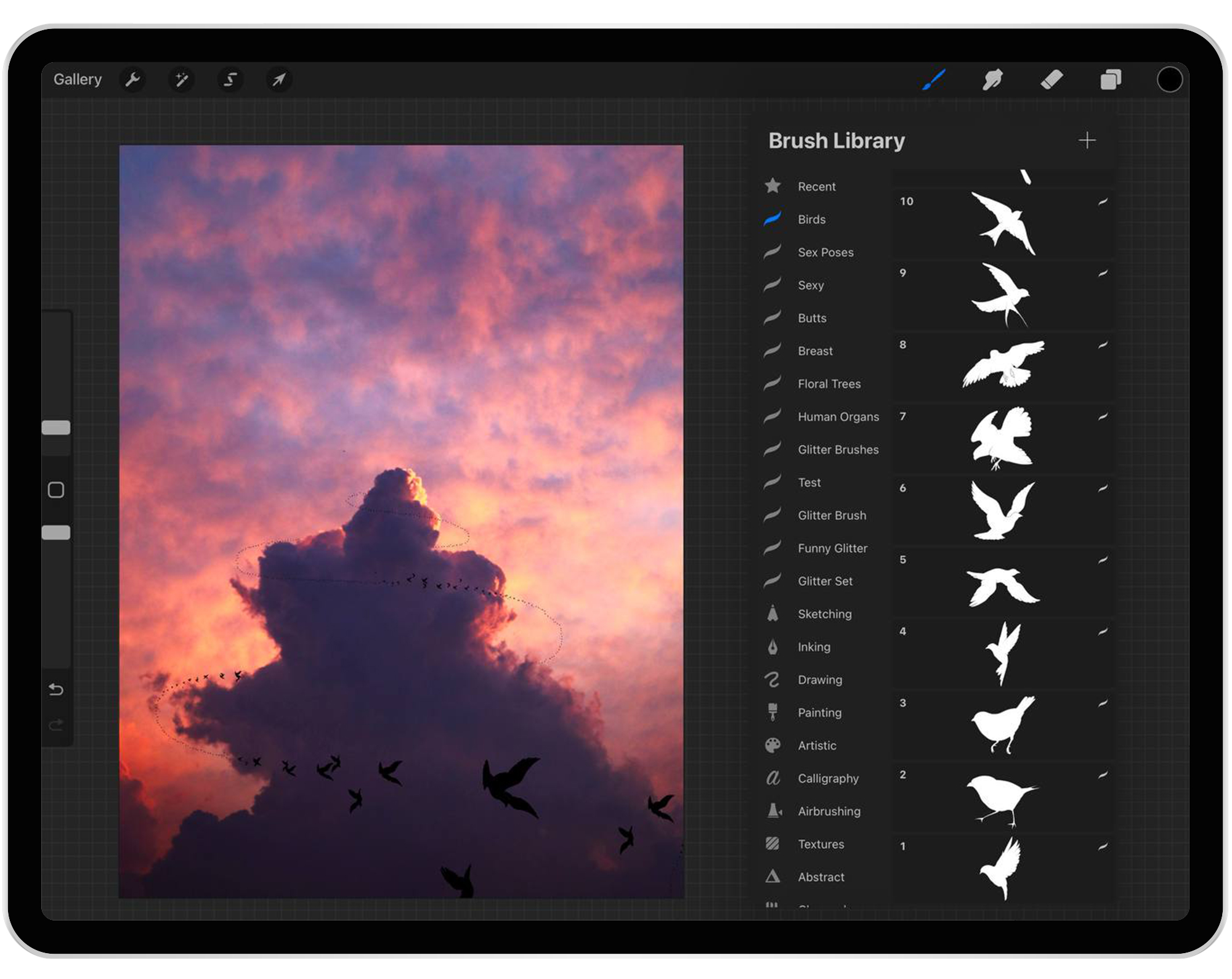 35 Procreate Birds Brushes Collection