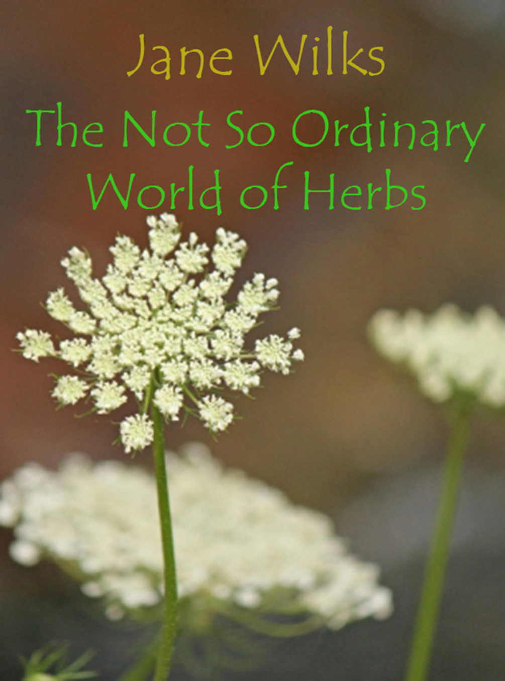 The Not So Ordinary World of Herbs