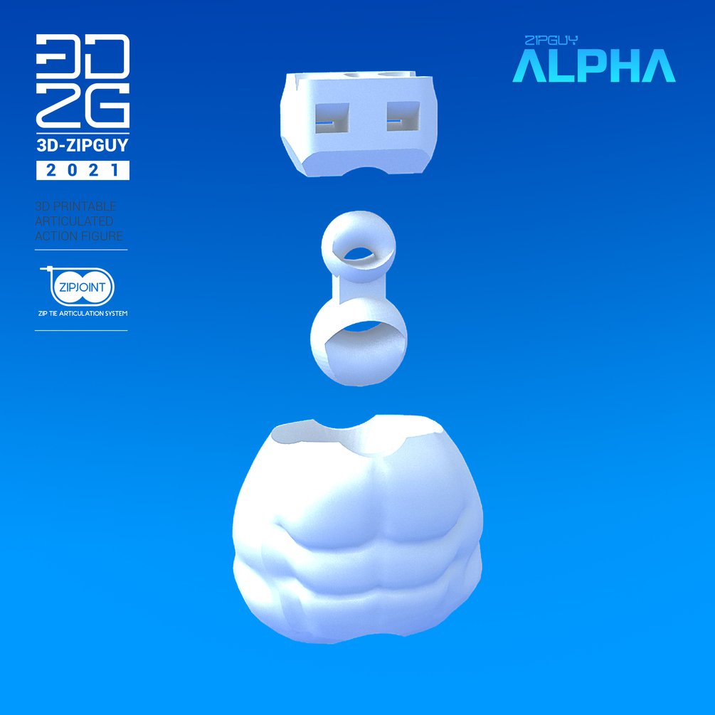 ZIPGUY ALPHA TORSO JOINT UPDATE