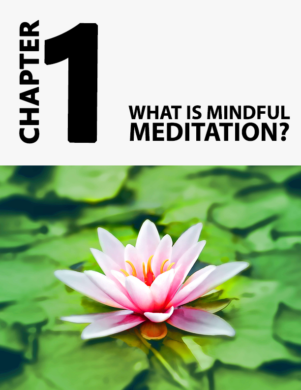 Mindful Meditation E-Book
