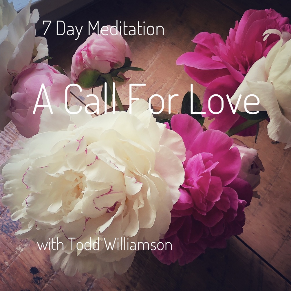 A Call For Love - 7 day meditation