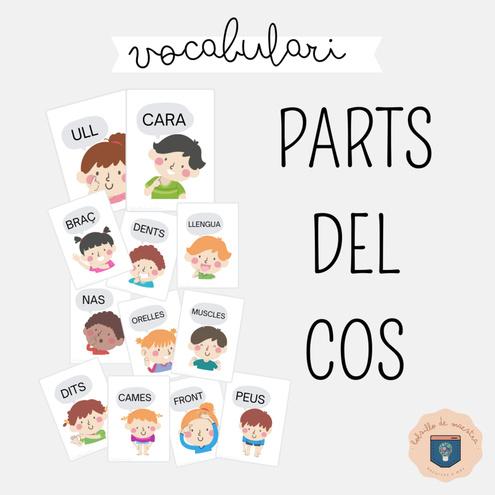 Vocabulari Parts del Cos