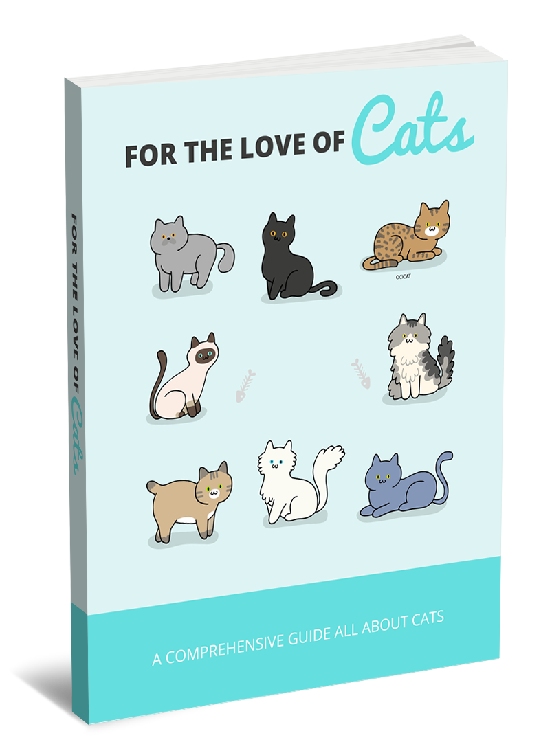 🐾 For the Love of Cats - Your Ultimate Guide to Feline Care! 🐱 #catlove ...