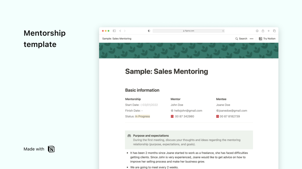 Mentoring Template