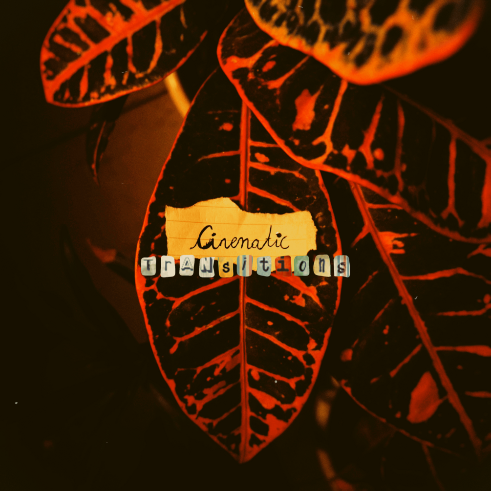 Premium Transitions Pack