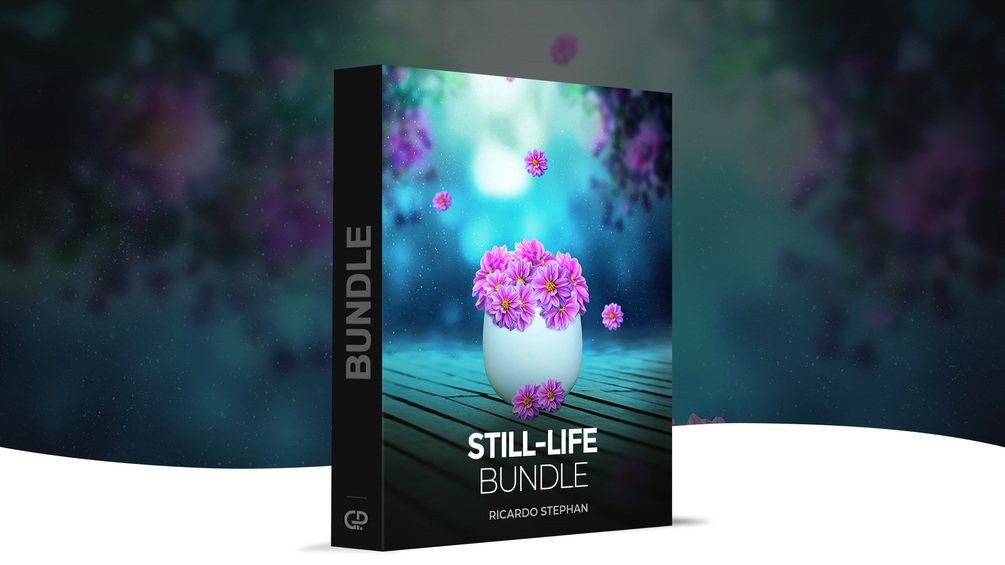 Still Life Bundle