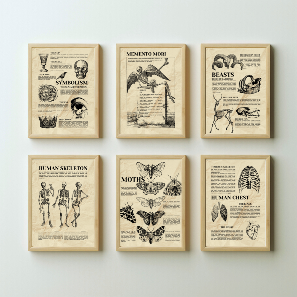 A set of dark academia style posters