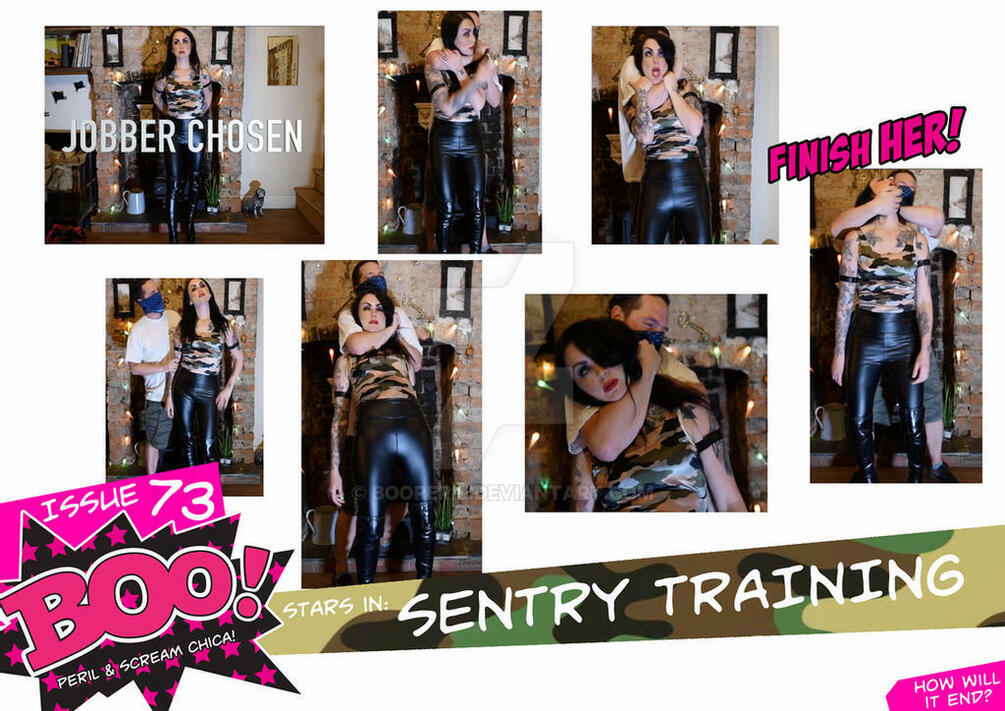 VIDEO 73: SENTRY TRAINING