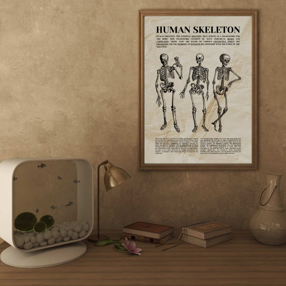 "Human Skeleton" - vintage-style digital poster
