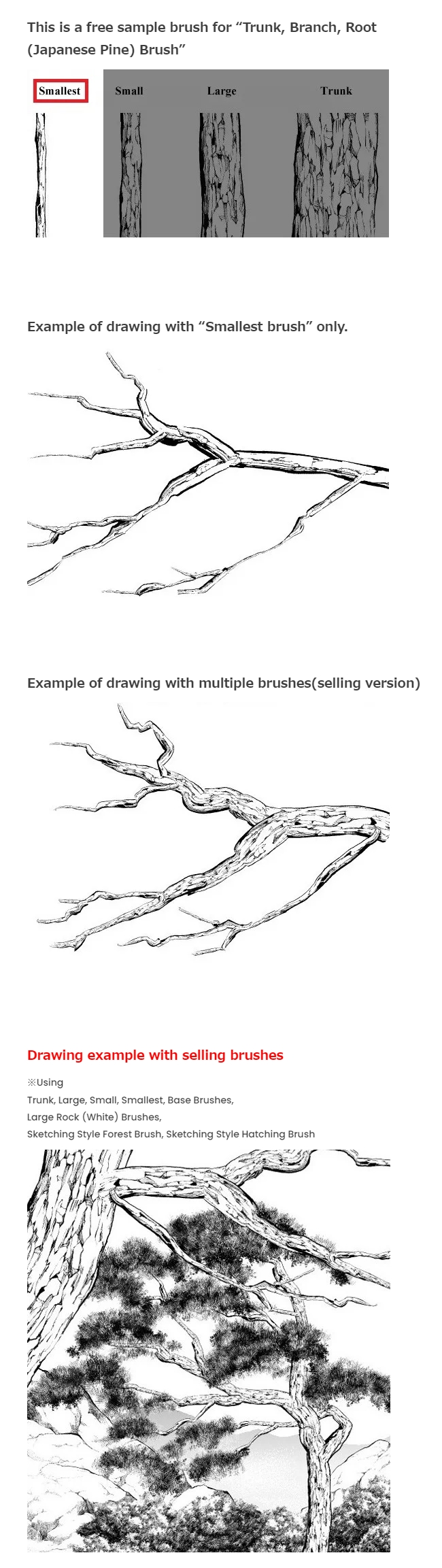 Free・Japanese Pine Tree Branch Sample