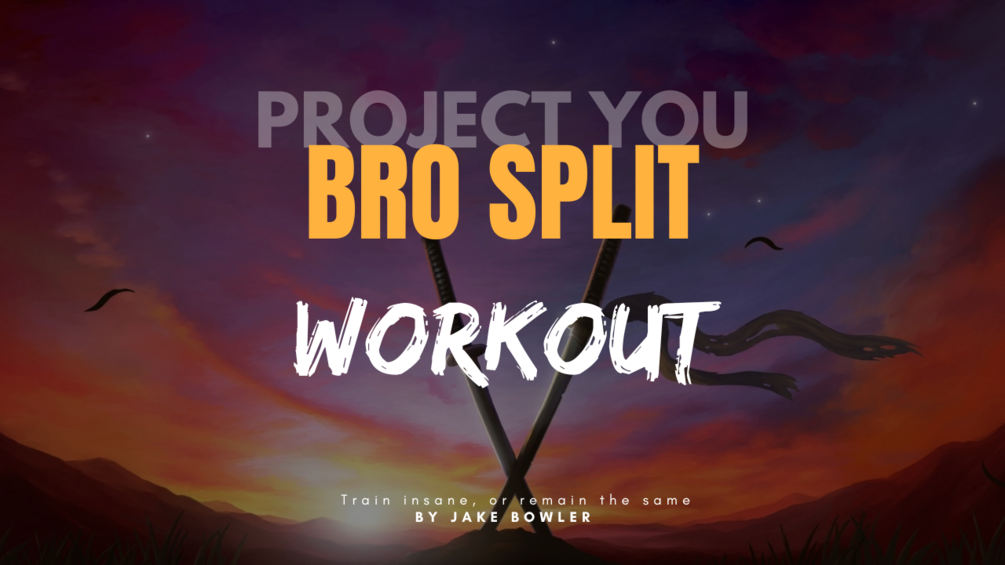 Bro Split Training Plan