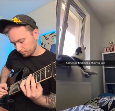 (TABS) Dog Choir Singing Duet