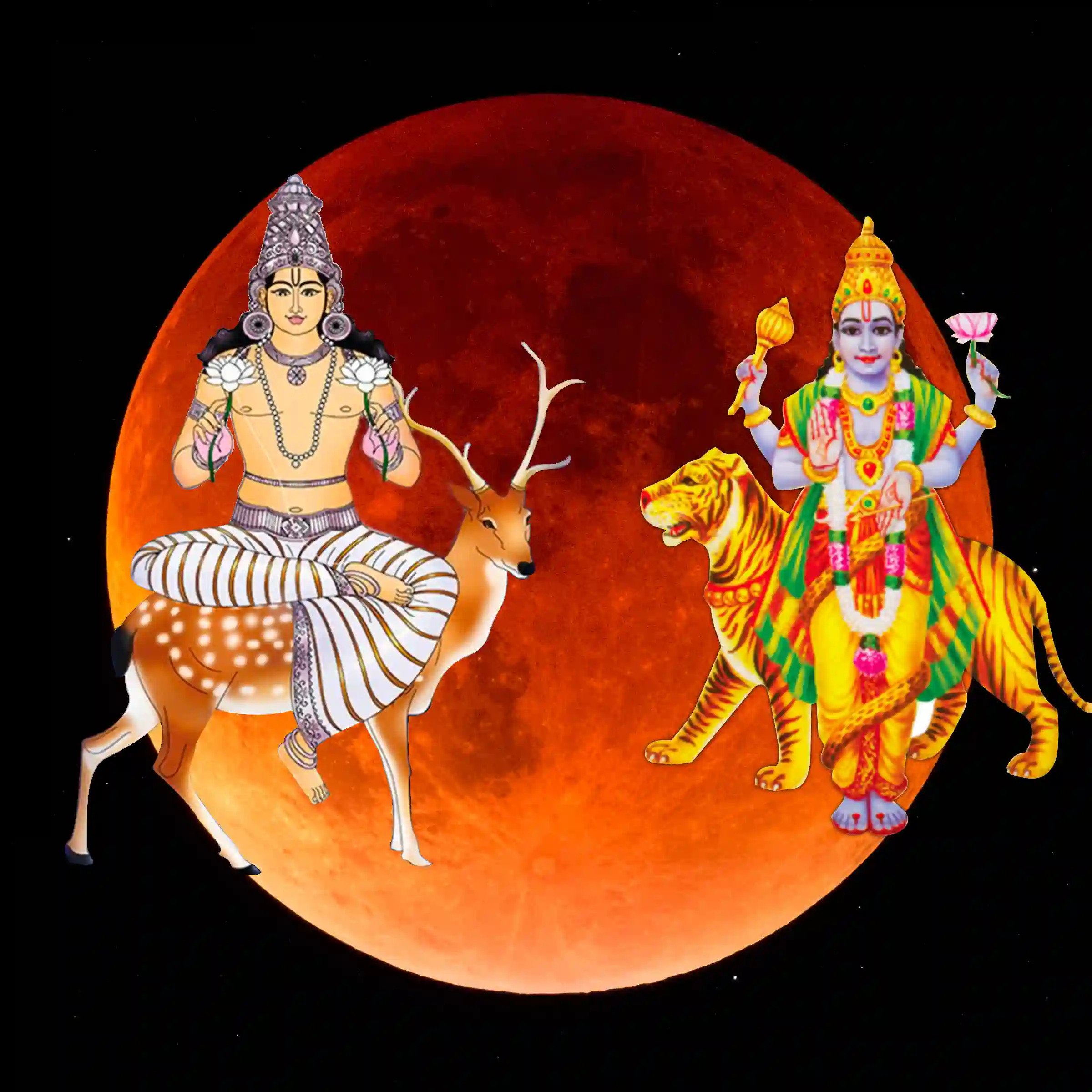 Chandra Rahu Grahan Dosha Shanti Puja