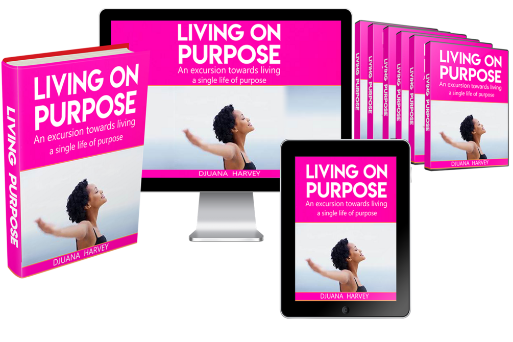 Living On Purpose- Leader Kit