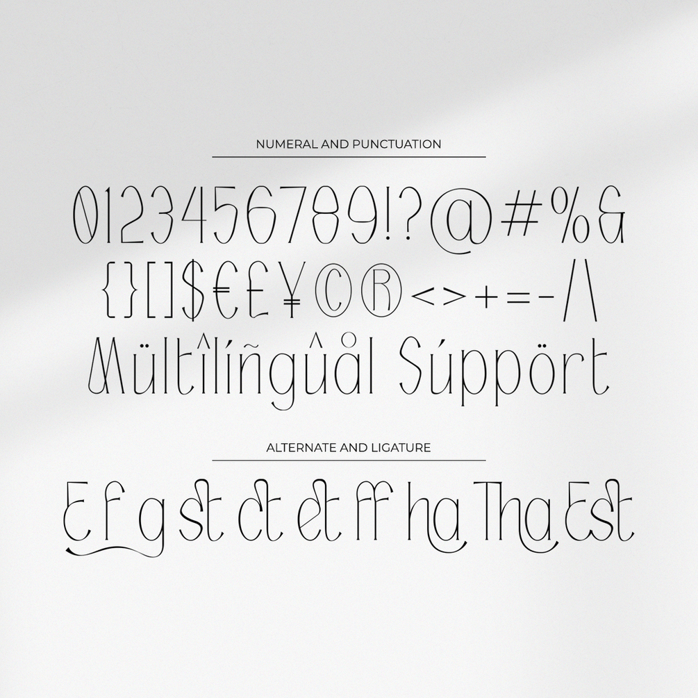 Thania Estrada - Thin Unique Serif Font