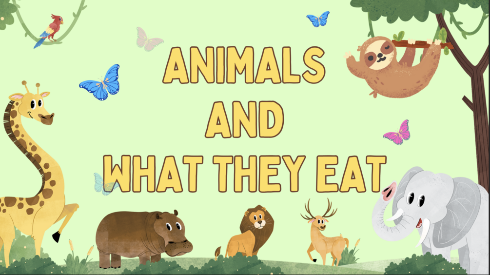 Animals and What They Eat!