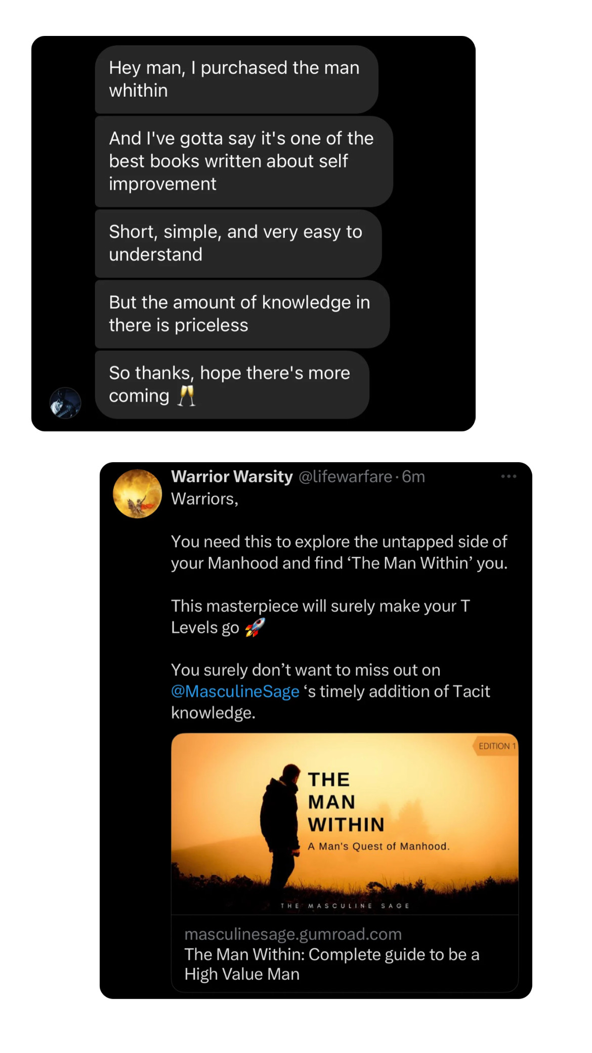 The Man Within: Complete guide to be a High Value Man